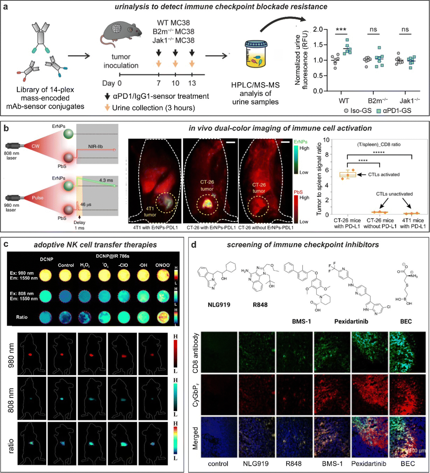 Smart probes for optical imaging of T cells and screening of anti ...