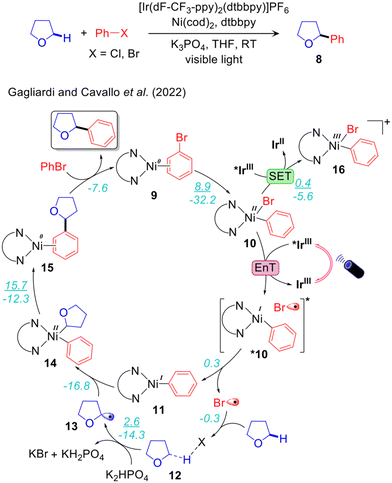 The mechanism of visible light-induced C–C cross-coupling by C sp3 –H ...