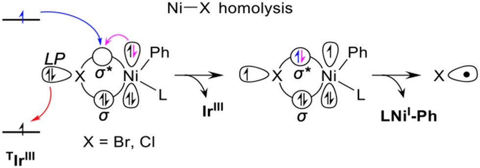The mechanism of visible light-induced C–C cross-coupling by C sp3 –H bond activation - Chemical ...
