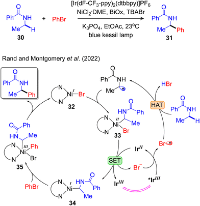 The mechanism of visible light-induced C–C cross-coupling by C sp3 –H ...
