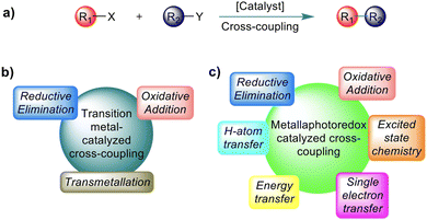The mechanism of visible light-induced C–C cross-coupling by C sp3 –H ...