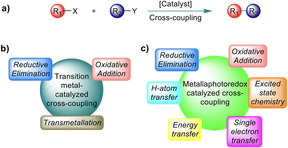 The mechanism of visible light-induced C–C cross-coupling by C sp3 –H ...