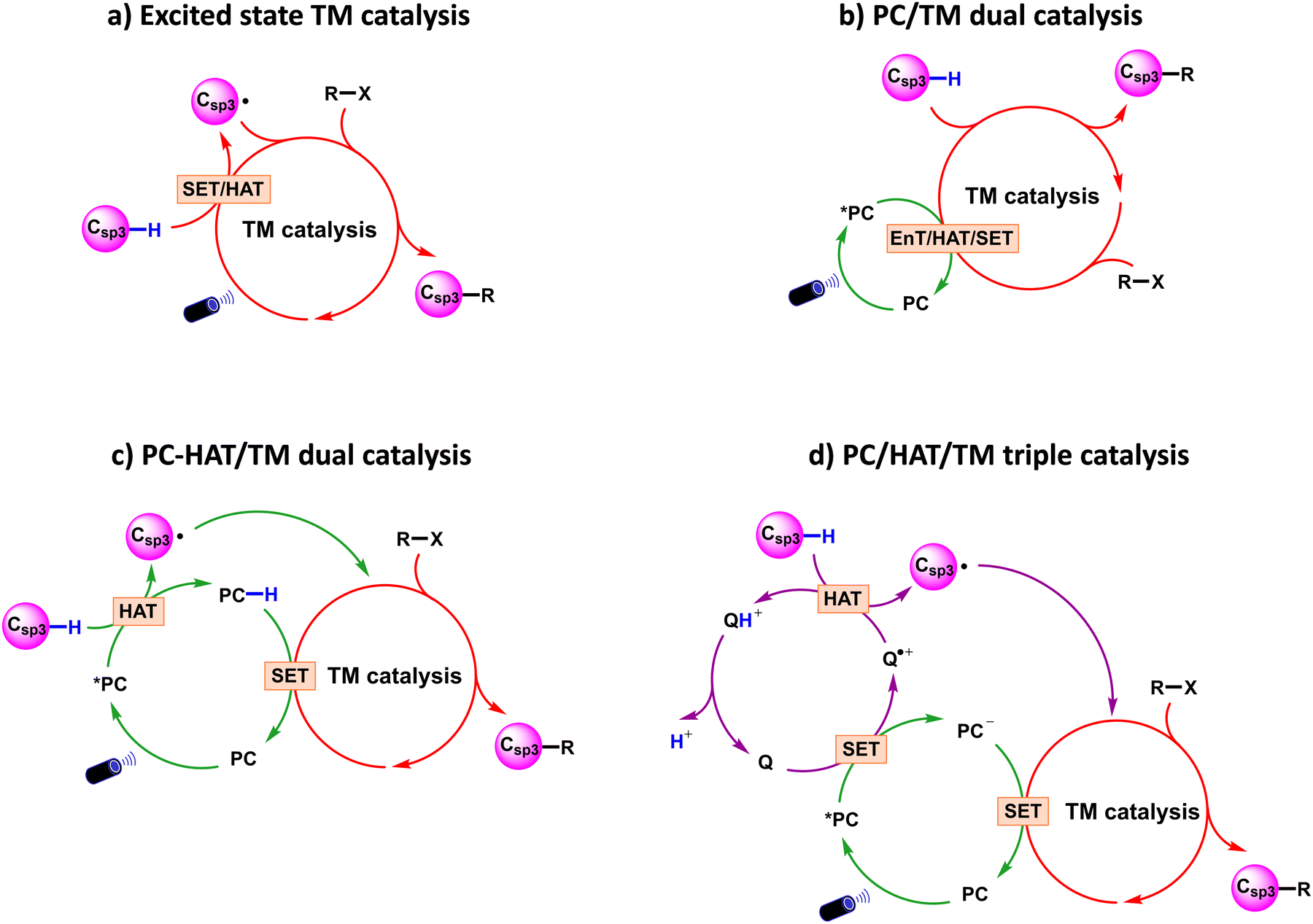 The mechanism of visible light-induced C–C cross-coupling by C sp3 –H ...