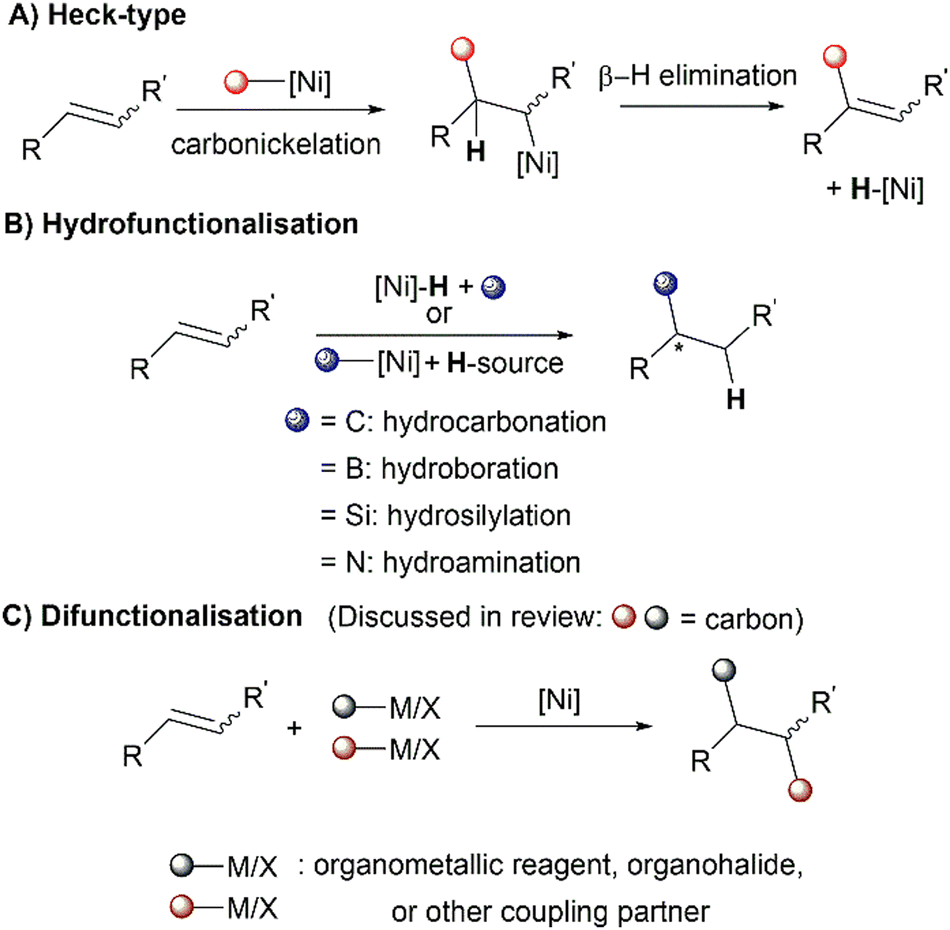 N-Heterocyclic carbenes as privileged ligands for nickel-catalysed ...