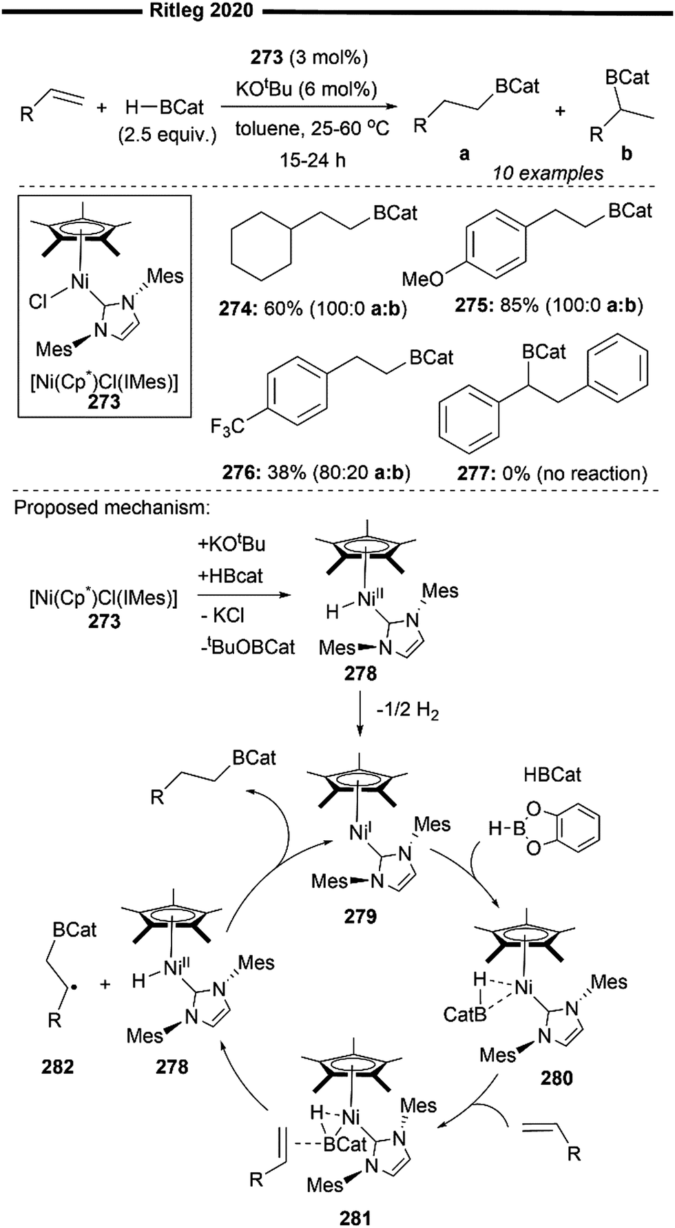 N-Heterocyclic carbenes as privileged ligands for nickel-catalysed ...