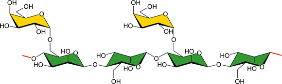 Exploring multivalent carbohydrate–protein interactions by NMR ...