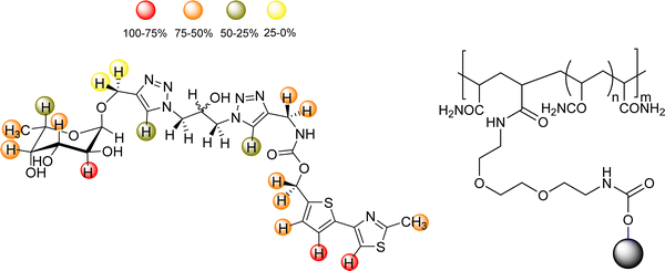 Exploring multivalent carbohydrate–protein interactions by NMR ...