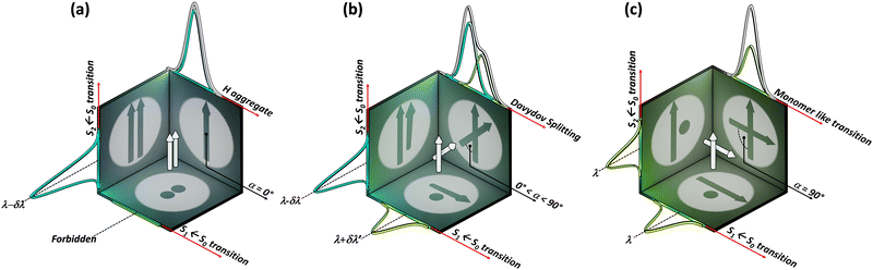 Keeping the chromophores crossed: evidence for null exciton splitting ...