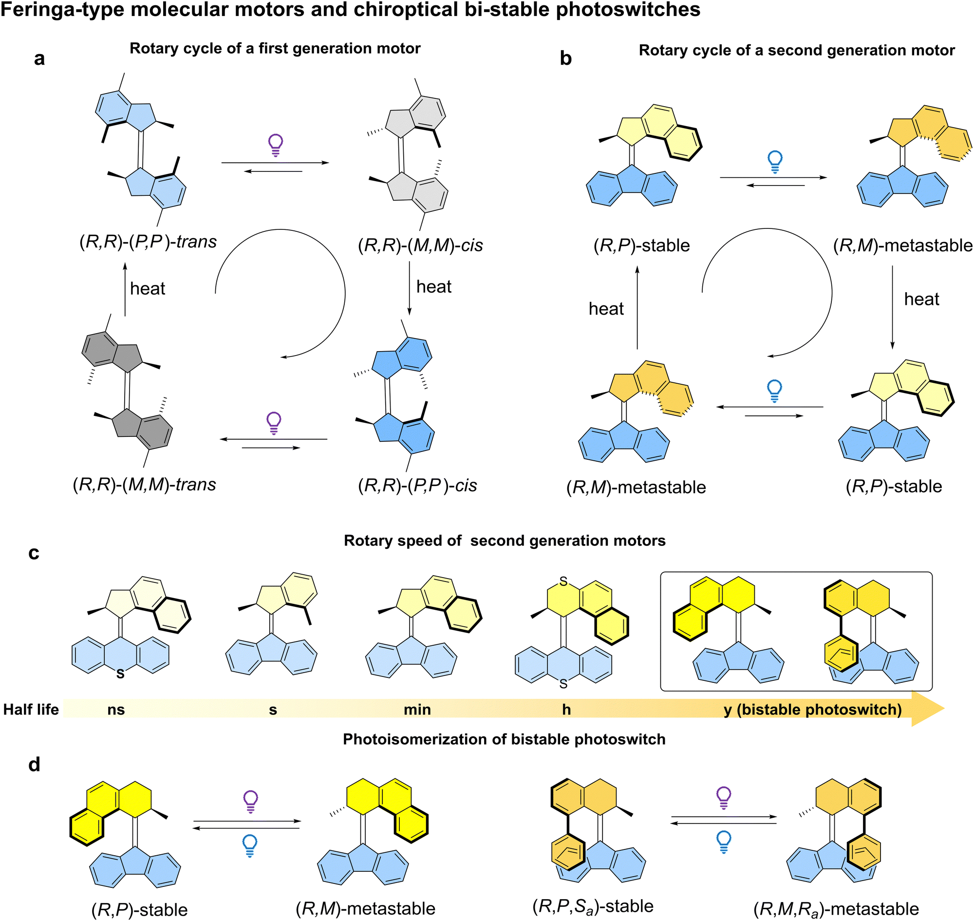 Enlightening dynamic functions in molecular systems by intrinsically chiral light-driven ...