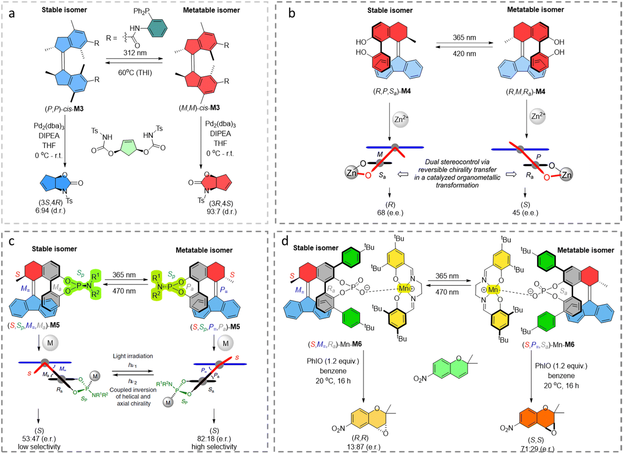 Enlightening dynamic functions in molecular systems by intrinsically chiral light-driven ...