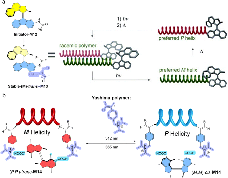 Enlightening dynamic functions in molecular systems by intrinsically ...