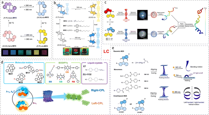 Enlightening dynamic functions in molecular systems by intrinsically ...