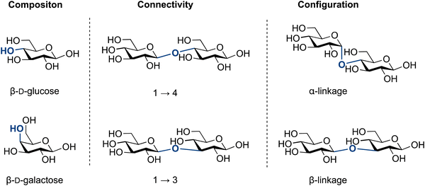 Advances in glycoside and oligosaccharide synthesis - Chemical Society ...