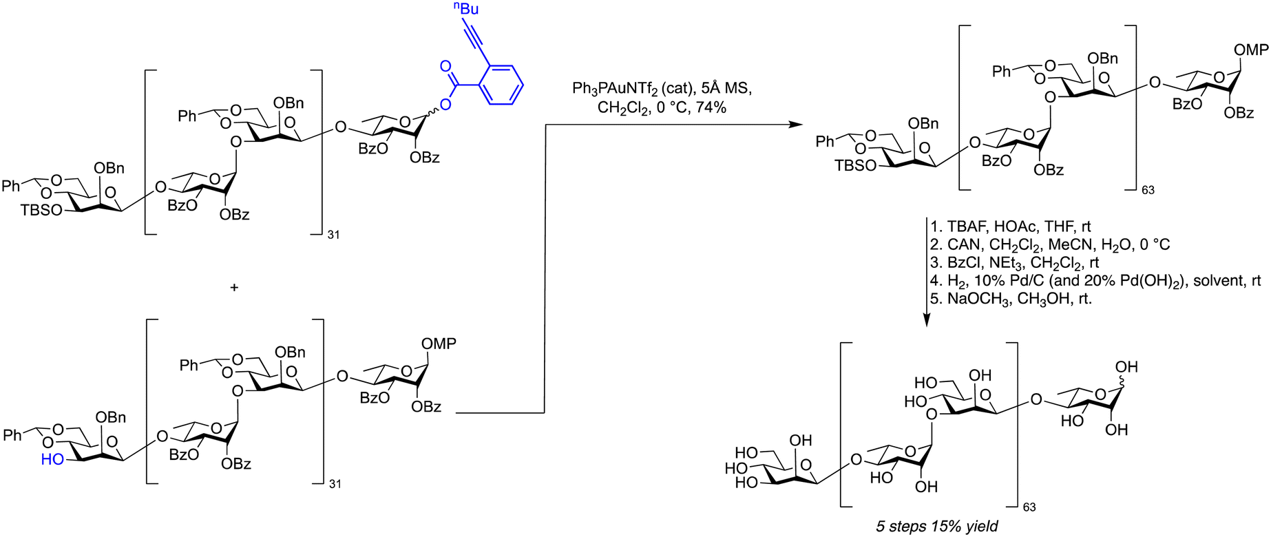 Advances in glycoside and oligosaccharide synthesis - Chemical Society ...