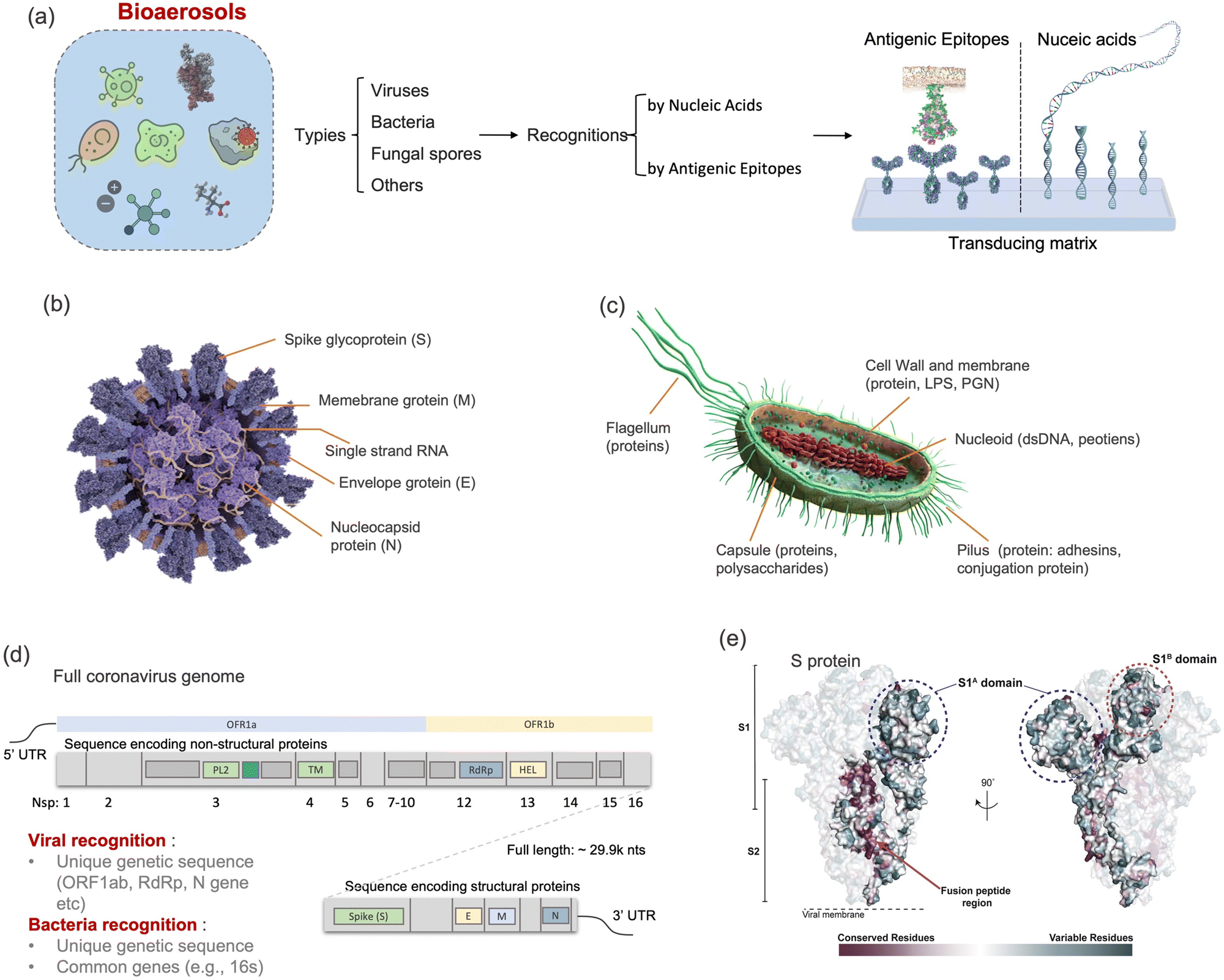On-site airborne pathogen detection for infection risk mitigation ...