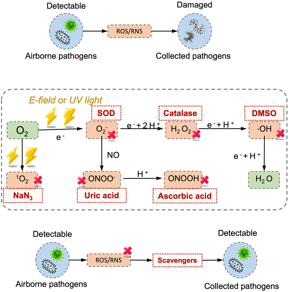 On-site airborne pathogen detection for infection risk mitigation ...