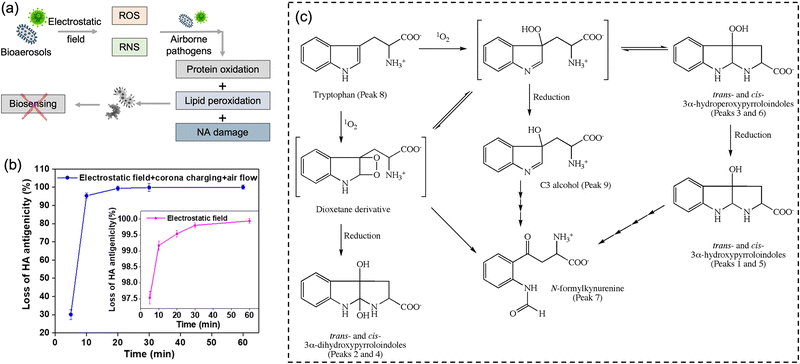 On-site airborne pathogen detection for infection risk mitigation ...