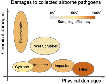 On-site airborne pathogen detection for infection risk mitigation ...