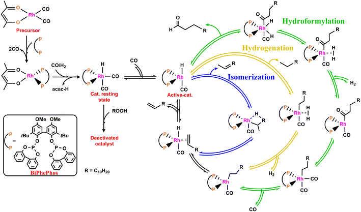 Operando characterization of rhodium catalyst degradation in ...