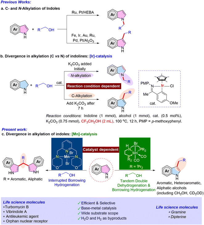 Divergence in CH alkylation of indoles under Mn catalysis - Catalysis Science & Technology (RSC ...