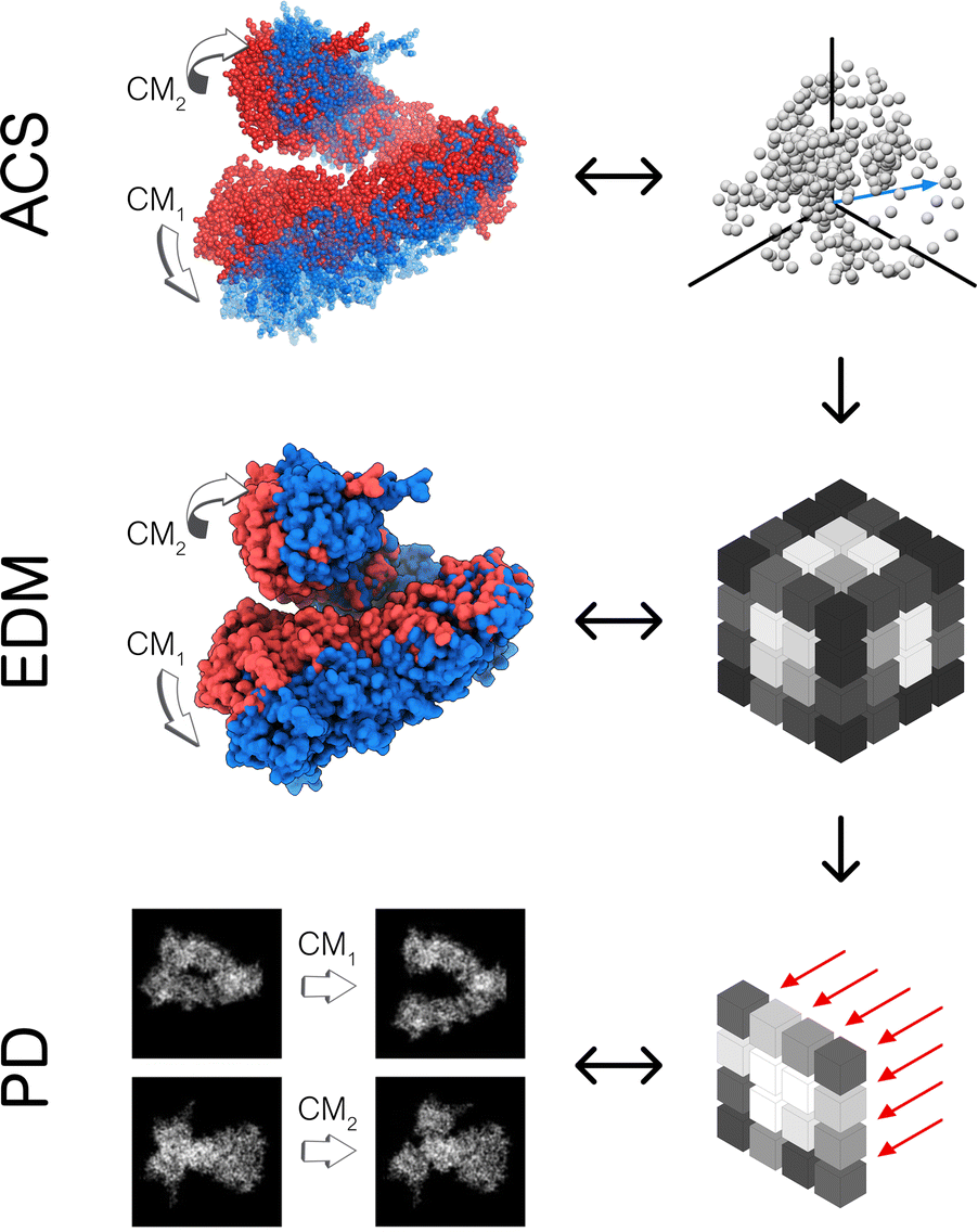 Beyond ManifoldEM: geometric relationships between manifold embeddings ...