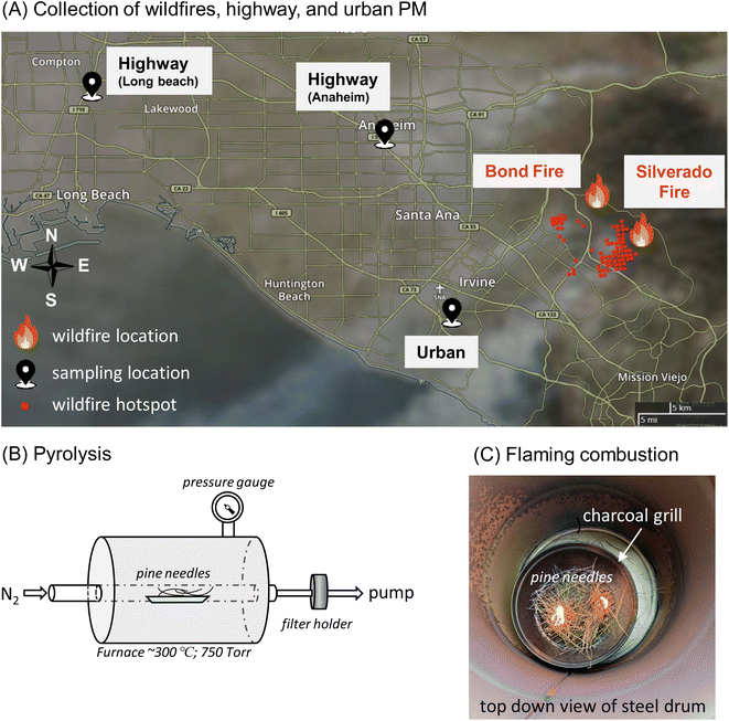 Wildfire particulate matter as a source of environmentally persistent ...