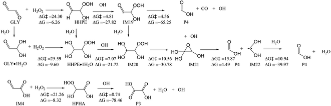 Theoretical study on the aqueous phase oxidation of glyoxal ...