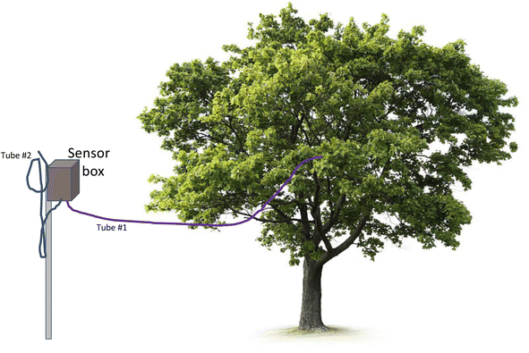 A portable sensor for the determination of tree canopy air quality ...