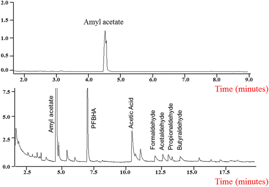 OH and Cl radicals initiated oxidation of amyl acetate under ...