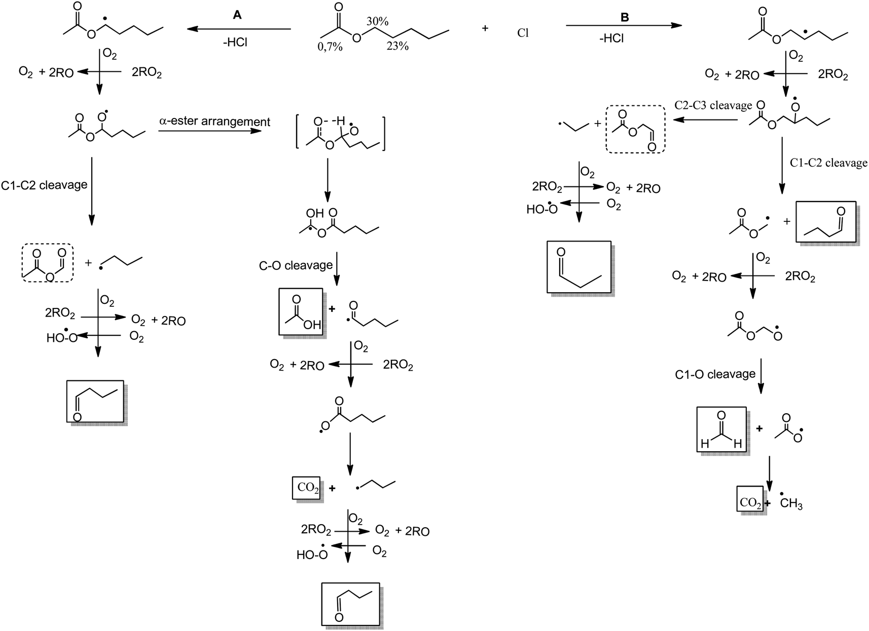 OH and Cl radicals initiated oxidation of amyl acetate under ...