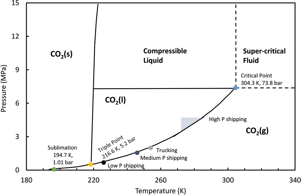 Emerging concepts in intermediate carbon dioxide emplacement to support ...
