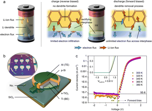 Rectifying interphases for preventing Li dendrite propagation in solid ...