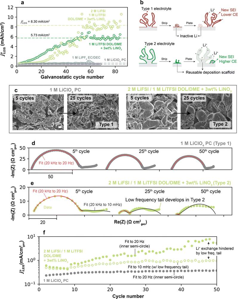 Beneficial vs. inhibiting passivation by the native lithium solid ...