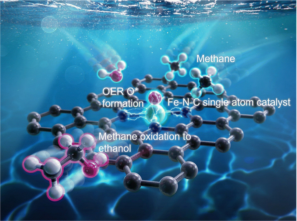 Boosting electrochemical methane conversion by oxygen evolution reactions on Fe–N–C single atom ...