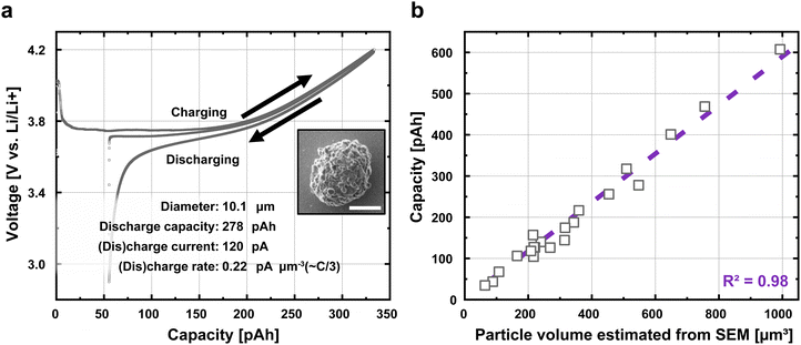 Direct measurements of size-independent lithium diffusion and reaction ...