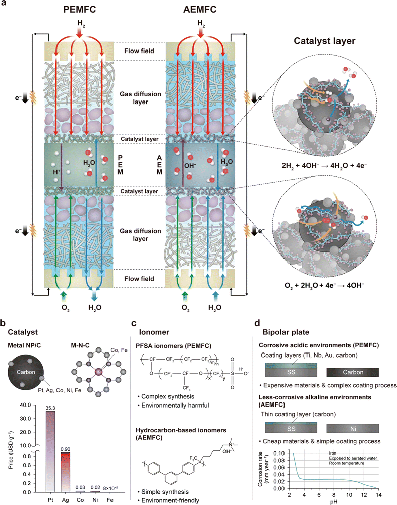 Powering the hydrogen future: current status and challenges of anion ...