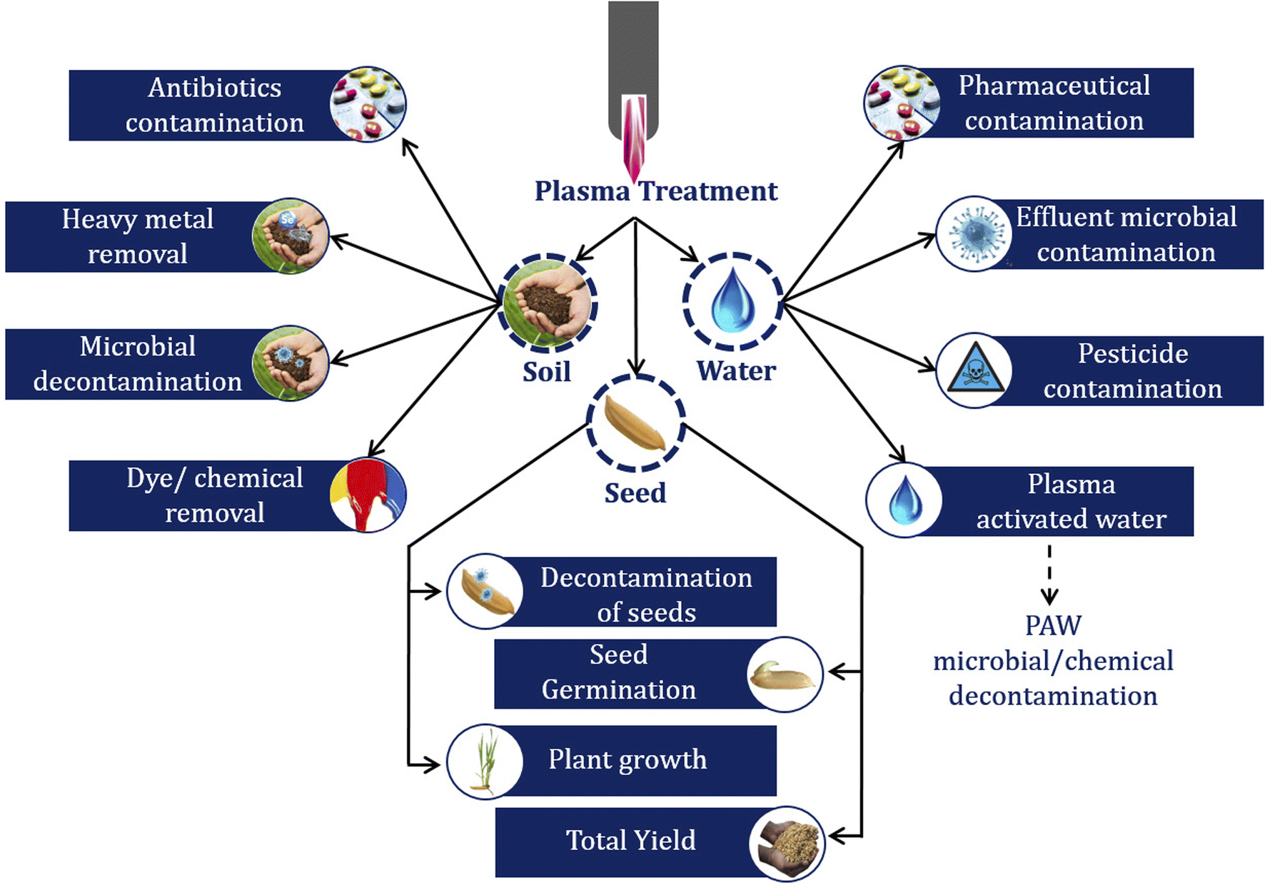 Plasma processing: a sustainable technology in agri-food processing ...