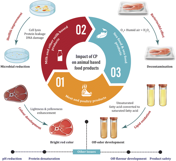 Plasma processing: a sustainable technology in agri-food processing ...