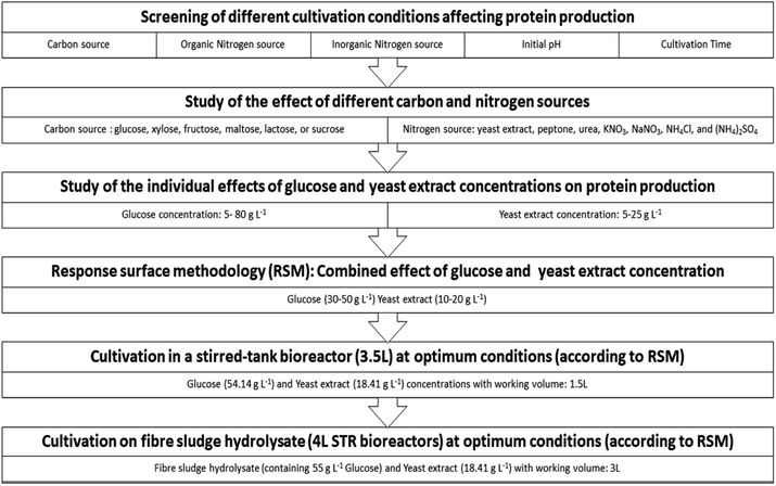 Single-cell protein production by Pleurotus ostreatus in submerged ...