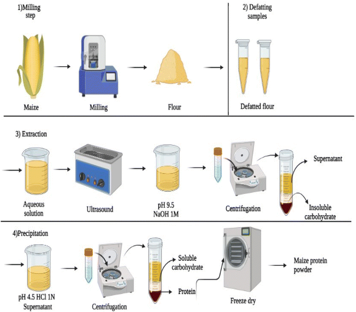 Sustainable plant protein: an up-to-date overview of sources ...