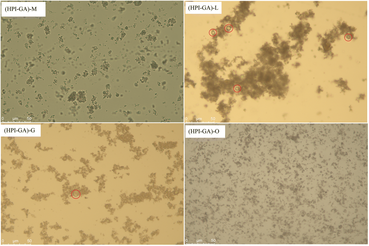 Encapsulation of essential oils using hemp protein isolate–gum Arabic ...