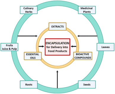 Current status and future prospects of bioactive molecules delivered ...