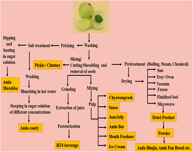 Thermal and nonthermal processing of an underutilized fruit Emblica ...
