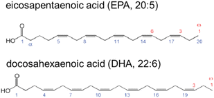 Encapsulation of fish oil and essential fatty acids by spray drying ...