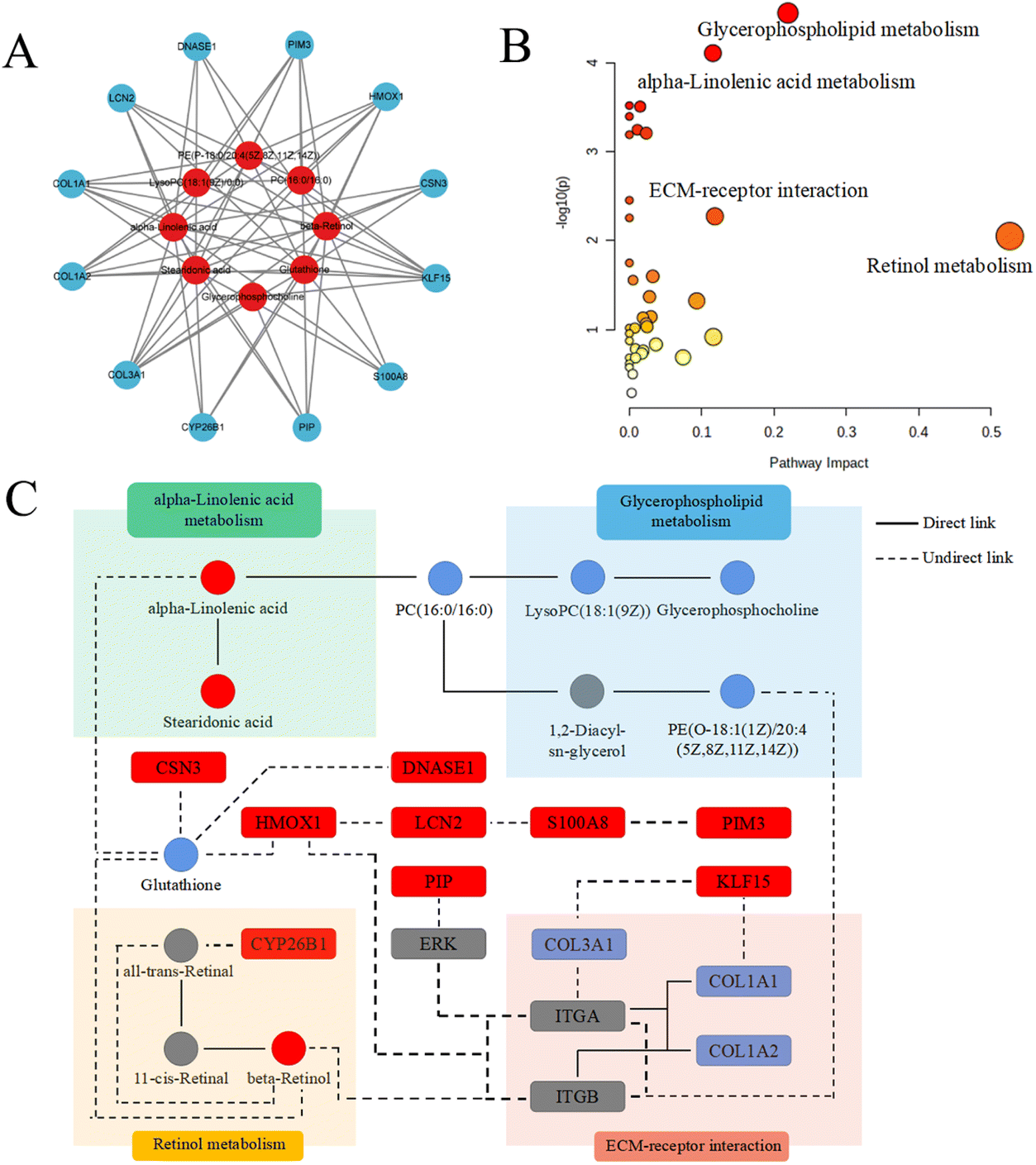 Integration of transcriptomics and metabolomics to reveal the effect of ginsenoside Rg3 on ...