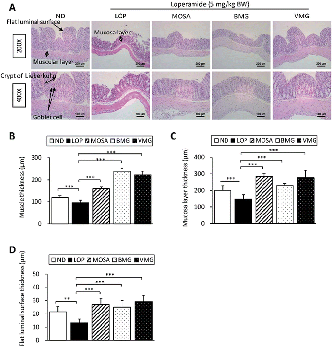 Comparison of the laxative effects of Korean Gochujang containing ...