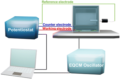 Understanding the charging of supercapacitors by electrochemical quartz ...