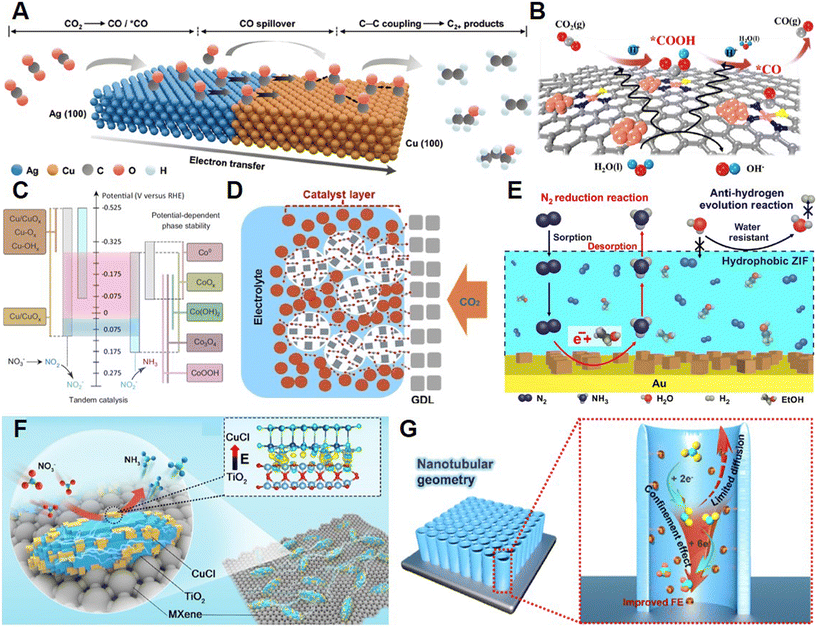 Multicomponent catalyst design for CO 2 /N 2 /NO x electroreduction ...