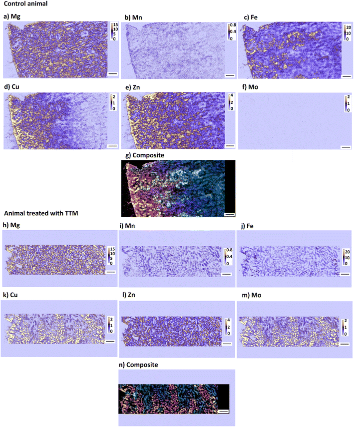 A systematic study of high resolution multielemental quantitative ...