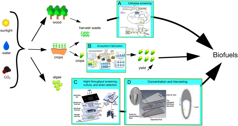 Lab on a chip for a low-carbon future - Lab on a Chip (RSC Publishing ...